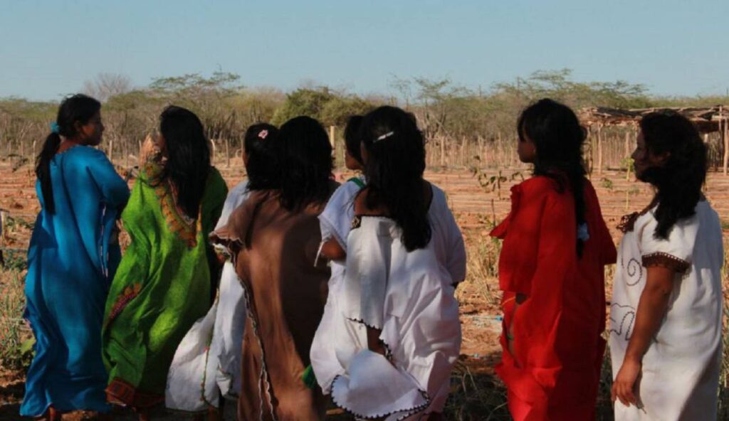 Indígenas Wayuu piden plan especial de vacunación contra COVID-19 ...